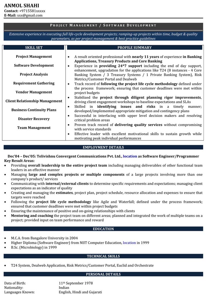Software Developer Resume Format Professional Software Engineer 